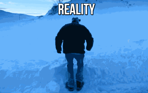 Reality GIF - Find & Share on GIPHY