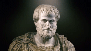 Philosophy GIF - Find & Share on GIPHY