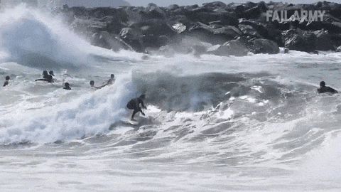 Surfing Fail GIF - Find & Share on GIPHY