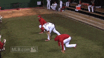St. Louis Cardinals GIF by MLB - Find & Share on GIPHY