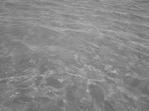 Water Gif GIF - Find & Share on GIPHY