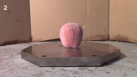Smashed GIF - Find & Share on GIPHY