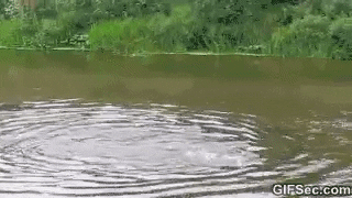 Water Something GIF - Find & Share on GIPHY