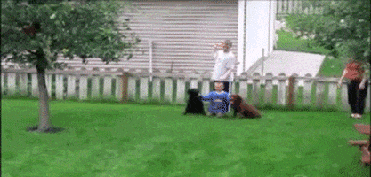 Kids Dogs GIF by Cheezburger - Find & Share on GIPHY