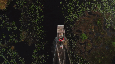 - Find & Share on GIPHY