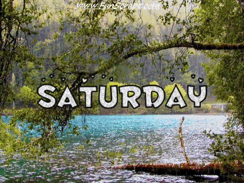 Saturday GIF - Find & Share on GIPHY