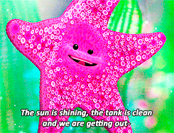 Finding Nemo Tank Is Clean Quote