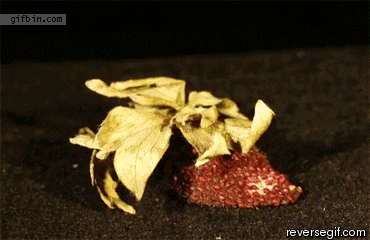 Foreplay Begins GIF - Find & Share on GIPHY