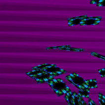 Diskdrive GIF by partyonmarz - Find & Share on GIPHY