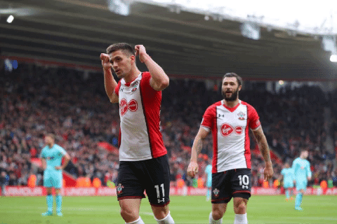 Southampton FC GIFs - Find & Share on GIPHY