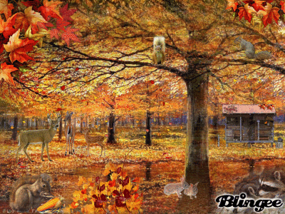 The Fall GIF - Find & Share on GIPHY