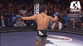 Mixed Martial Arts Fighting GIF by CombateAmericas - Find & Share on GIPHY