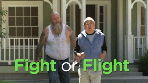 Exercise Fight Or Flight GIF by Team Coco - Find & Share on GIPHY