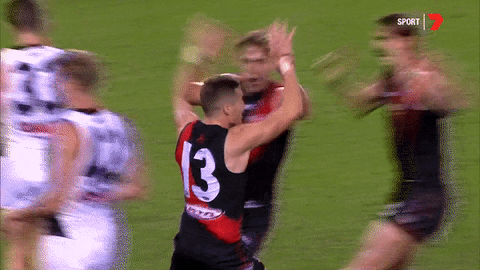 Sport Afl GIF by Essendon FC - Find & Share on GIPHY