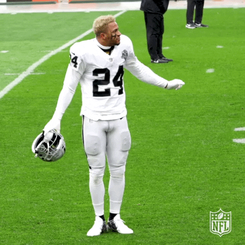 Happy Las Vegas Raiders GIF by NFL - Find & Share on GIPHY