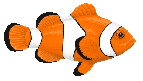Finding Nemo Sea Sticker for iOS & Android | GIPHY