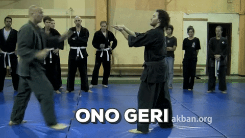 Axe Kick GIF by AKBAN Detant - Find & Share on GIPHY