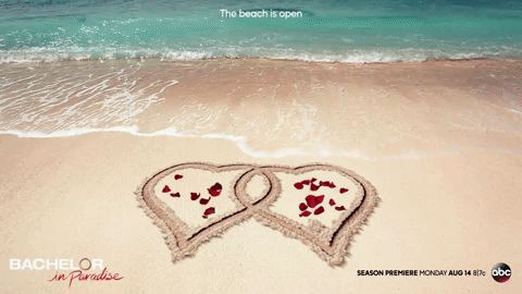 The Bachelorette GIFs - Find & Share on GIPHY