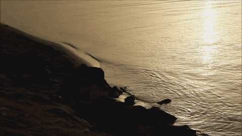 Sea Landscape GIF - Find & Share on GIPHY