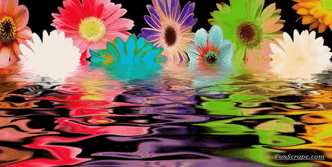 Colorful GIF - Find & Share on GIPHY