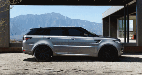 Rover GIF - Find & Share on GIPHY