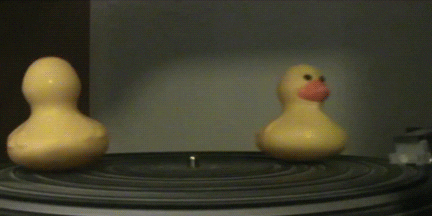 Ducks GIF - Find & Share on GIPHY