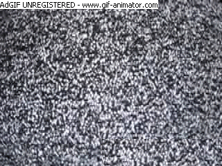 Static GIFs - Find & Share on GIPHY