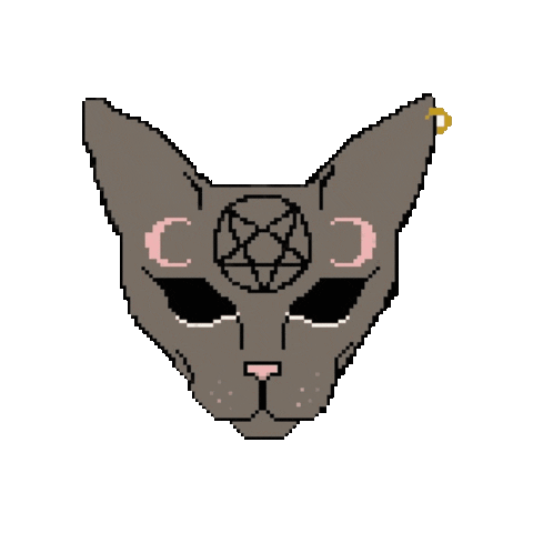 Cat Sticker for iOS & Android | GIPHY