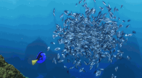 Finding Nemo Pixar Gif GIF by Disney Pixar - Find & Share on GIPHY Finding Nemo Pixar Gif GIF by Disney Pixar - Find & Share on GIPHY