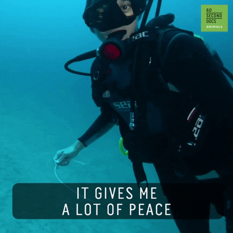 Diving Scuba GIF by 60 Second Docs - Find & Share on GIPHY