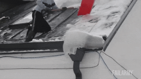 Roof Rek GIF - Find & Share on GIPHY