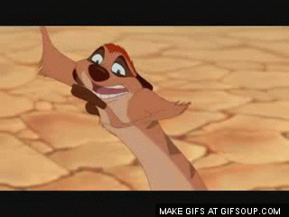 Turn GIF - Find & Share on GIPHY