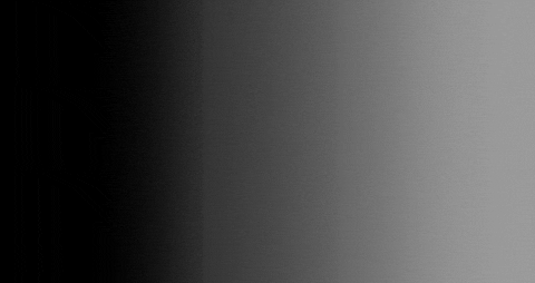 Grayscale GIF - Find & Share on GIPHY