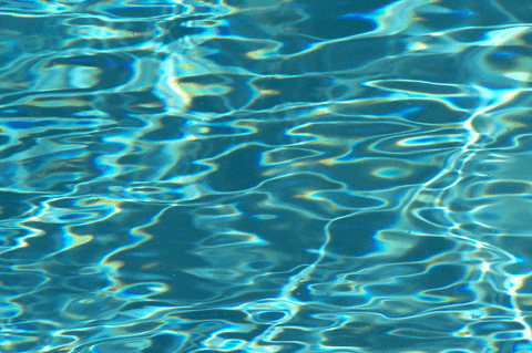 Stagnant GIFs - Find & Share on GIPHY