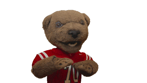 Cornell University Touchdown Sticker for iOS & Android | GIPHY