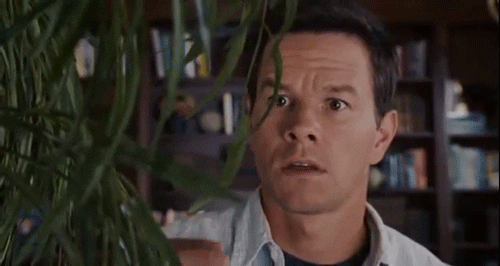 Mark Wahlberg GIF - Find & Share on GIPHY