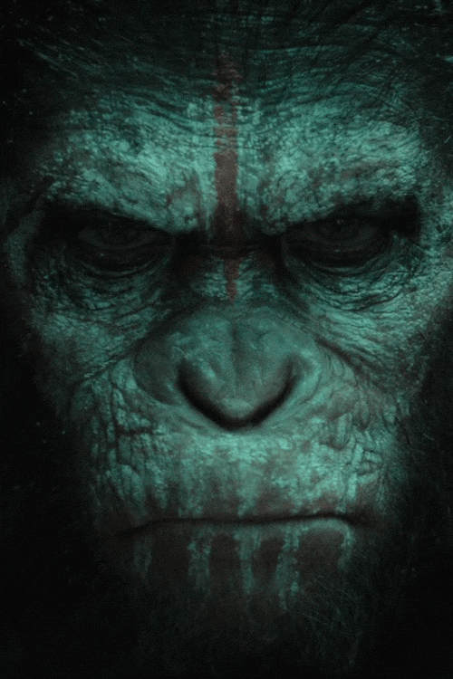 Planet Of The Apes Ape GIF - Find & Share on GIPHY