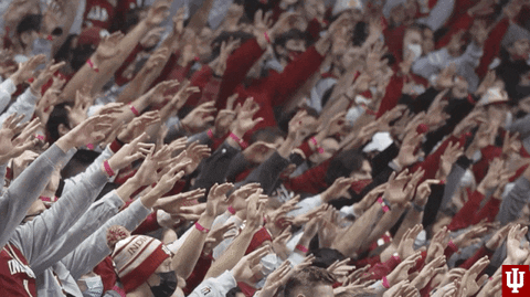 Fan GIF by Indiana Hoosiers - Find & Share on GIPHY