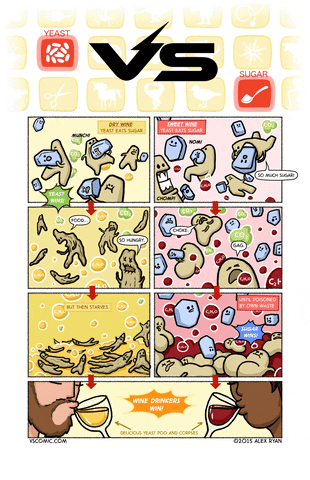 Fermentation GIFs - Get the best GIF on GIPHY