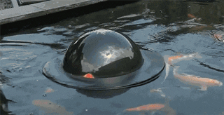 Look Floating GIF - Find & Share on GIPHY
