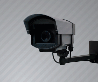 Surveillance GIFs - Find & Share on GIPHY