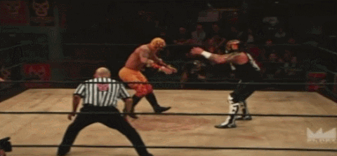 Puma GIF - Find & Share on GIPHY