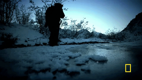 Life Below Zero GIF by National Geographic Channel - Find & Share on GIPHY