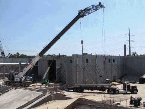 Crane GIF - Find & Share on GIPHY