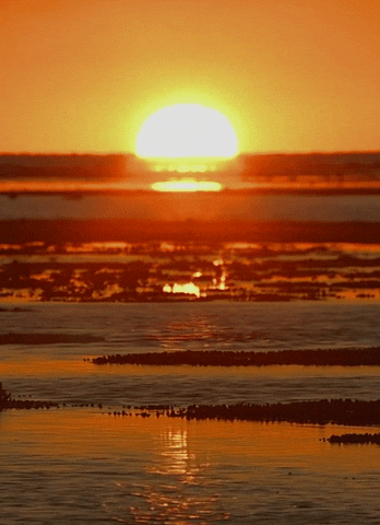 Sunrise GIF - Find & Share on GIPHY