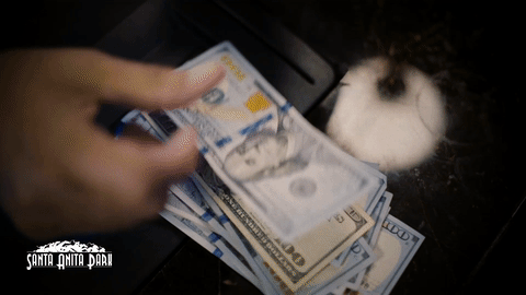 - Find & Share on GIPHY