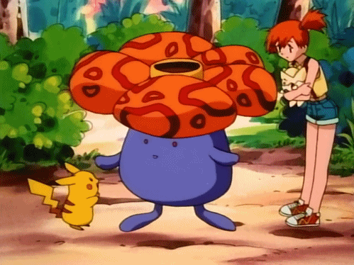 Bellossom Memes