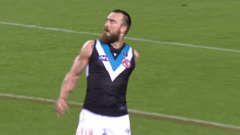 Aussie Rules Celebration GIF by Port Adelaide FC - Find & Share on GIPHY