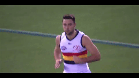 Afl Atkins GIF by Adelaide Crows - Find & Share on GIPHY