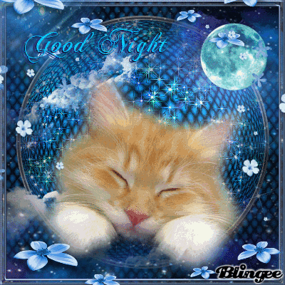 Blingee GIF - Find & Share on GIPHY